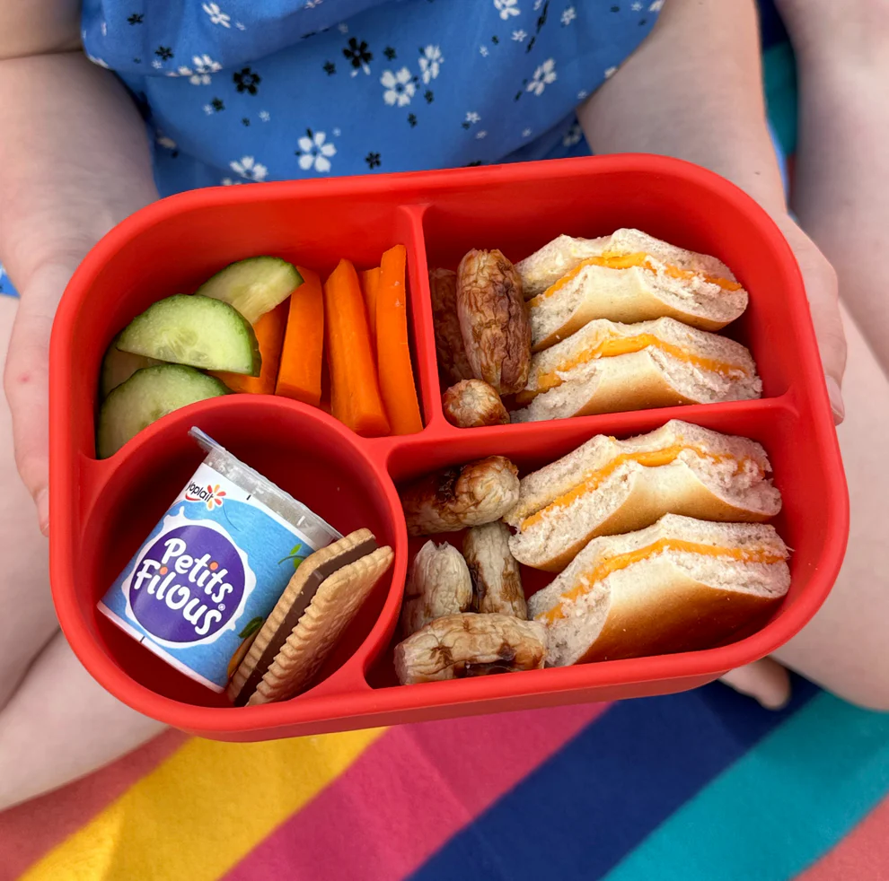Lunch Box Tips for Picky Eaters!
