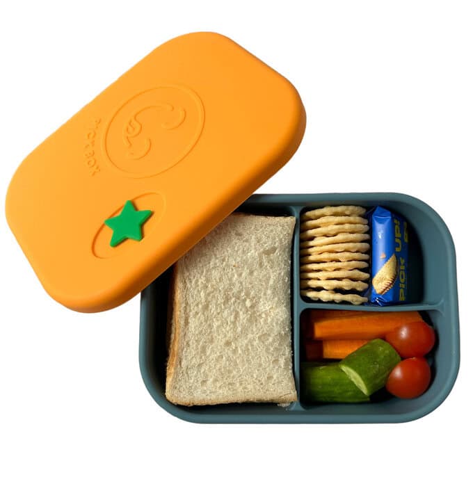 Lunch Box Tips for Picky Eaters!